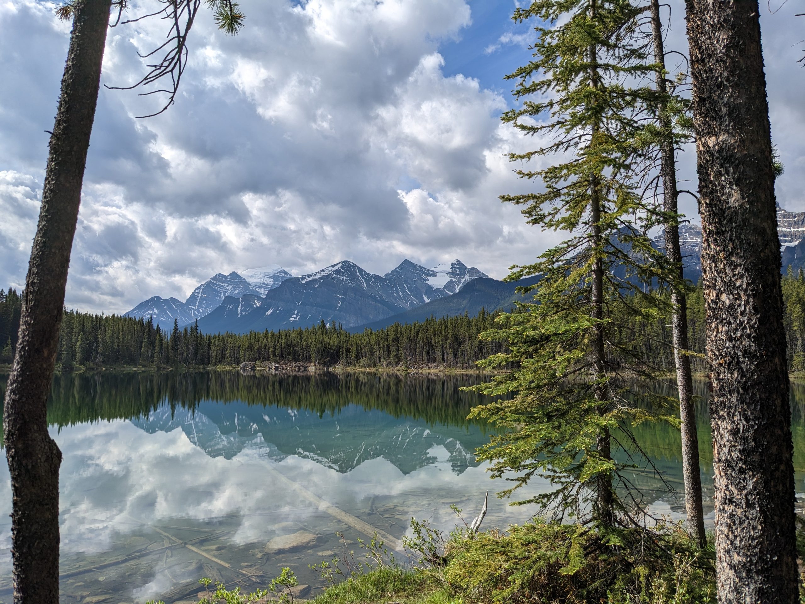 Reflecting. Sparkling. - The Pearl Divers