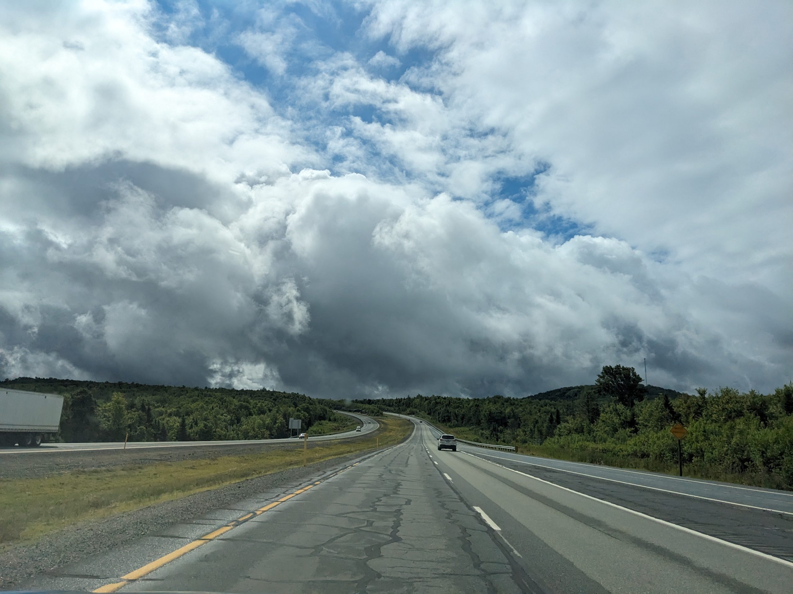 “Woo!” - The Pearl Divers